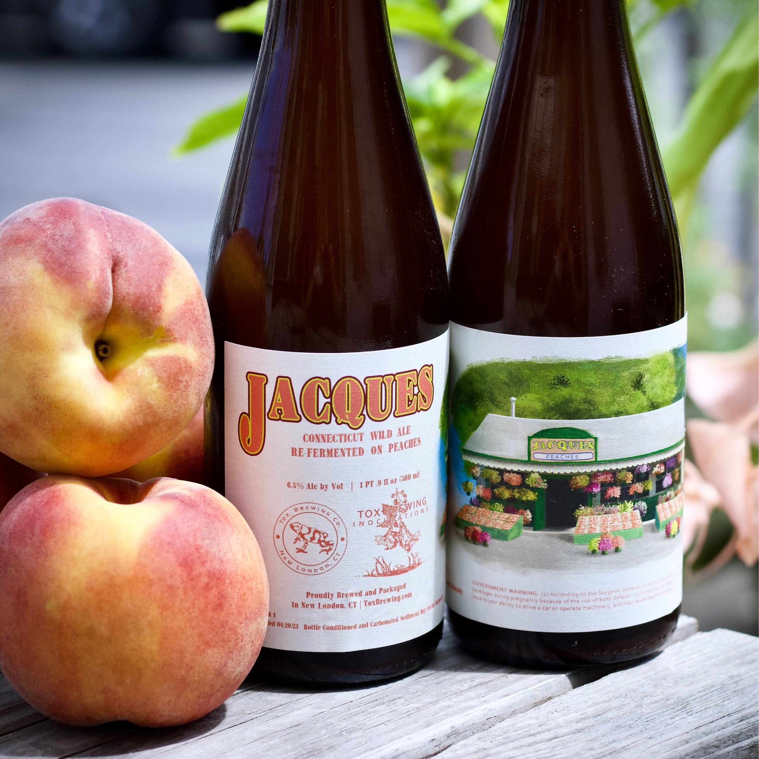 Jacques (Peach 2023) | My Site